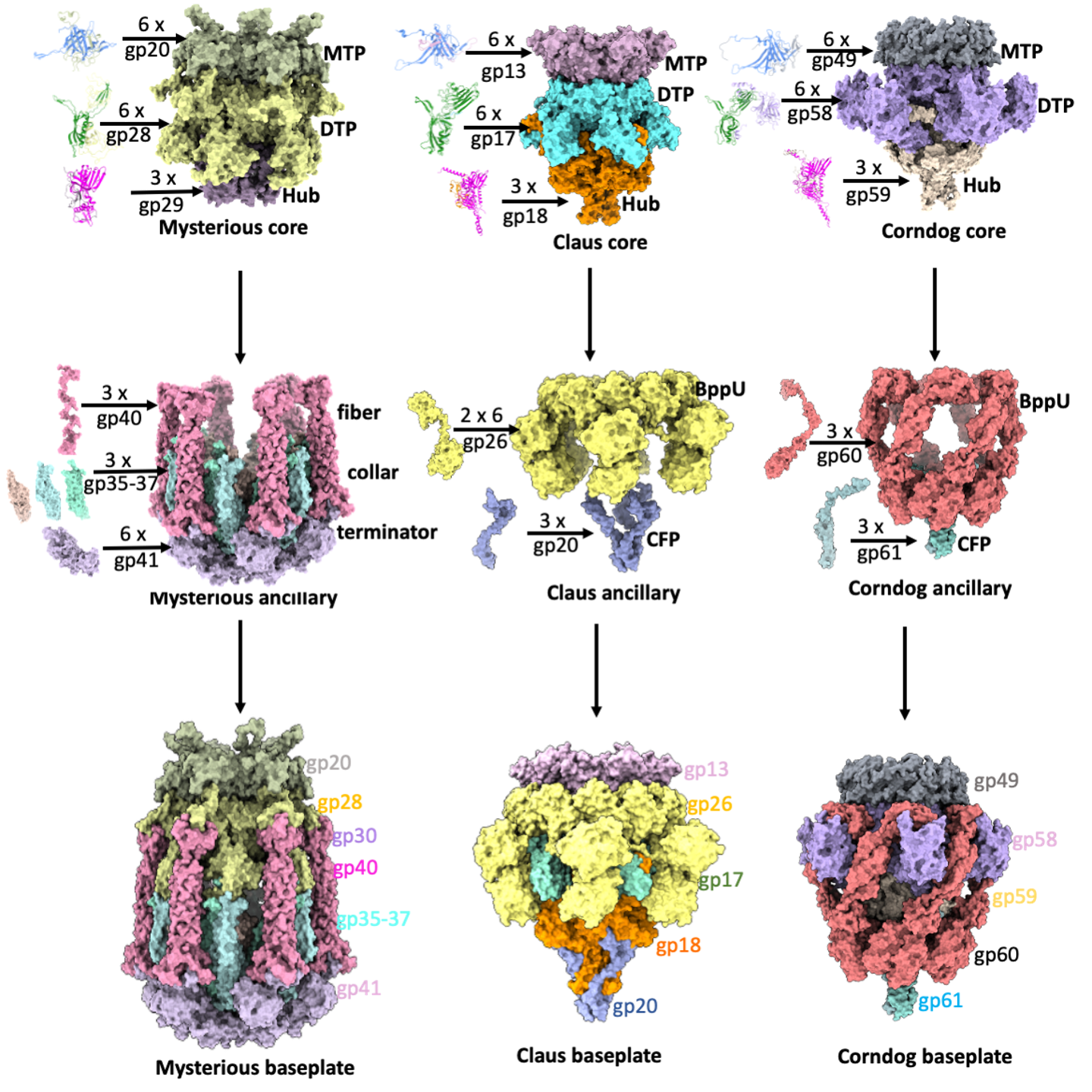 Abstract Review - IAS-USA